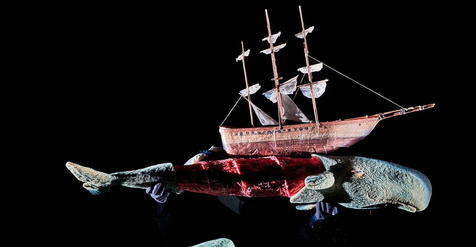 Moby Dick | Plexus Polaire | Scène nationale de Bourg-en-Bresse ...